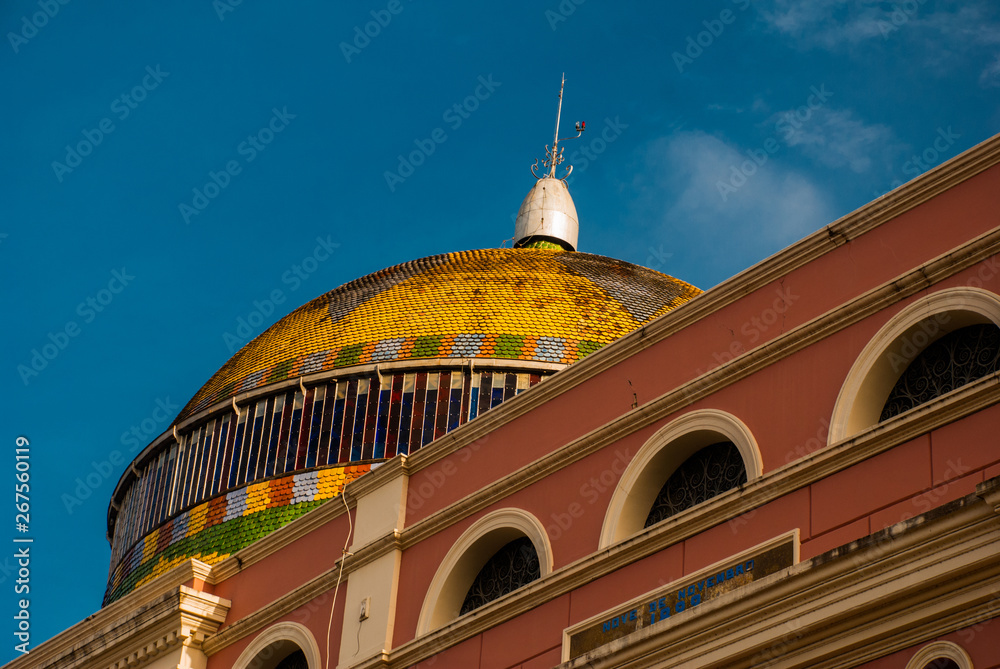 Stunning Colorful Manaus Opera House, Famous One Day Excursions. One ...