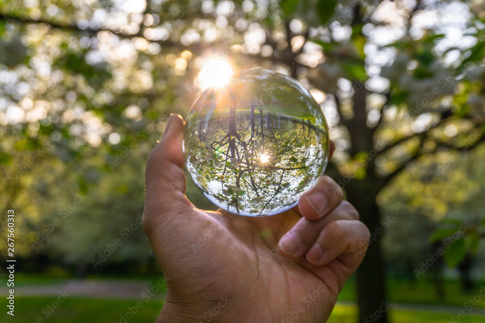 A hand holding a crystal ball for optical illusion. Known as an ...
