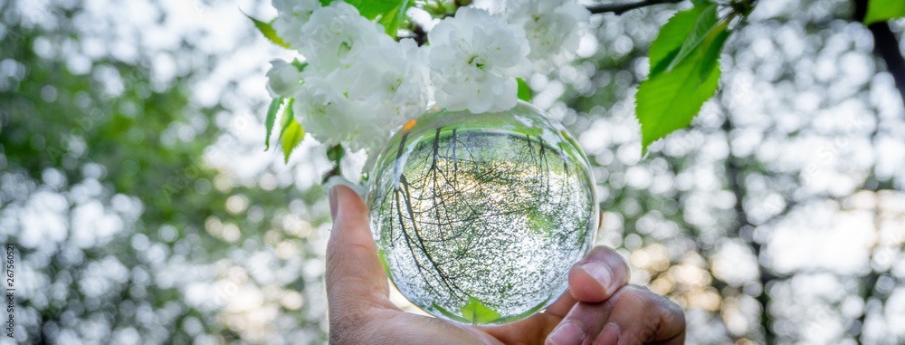 A hand holding a crystal ball for optical illusion. Known as an ...