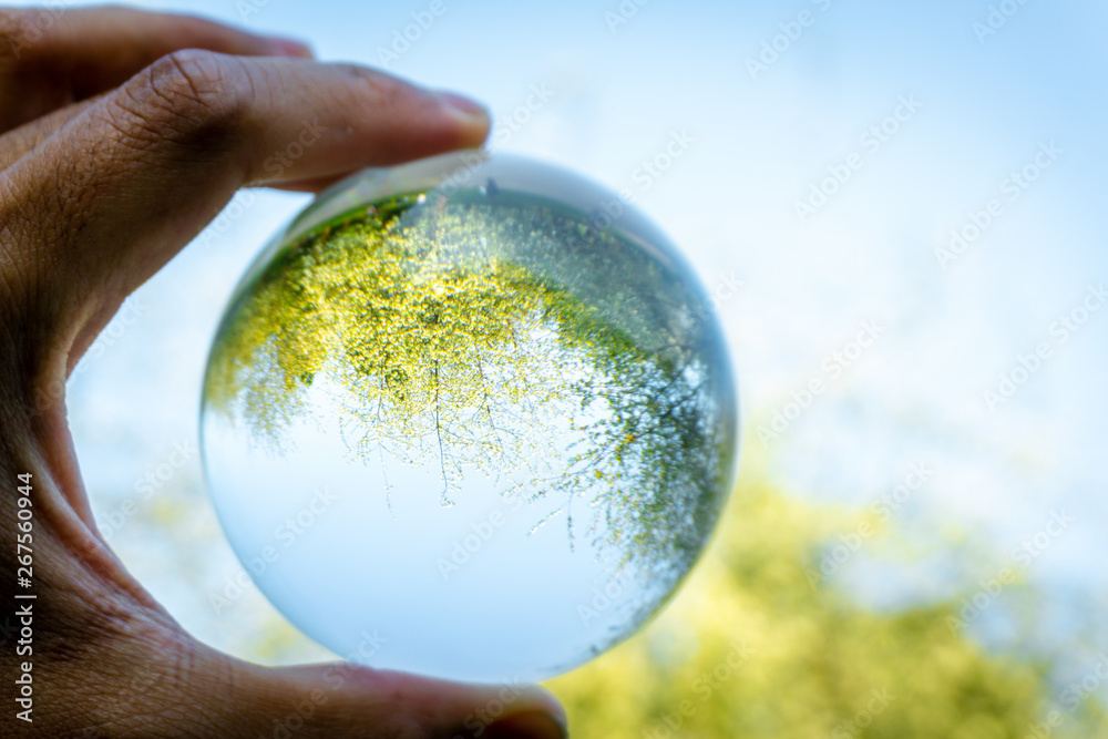 A hand holding a crystal ball for optical illusion. Known as an ...