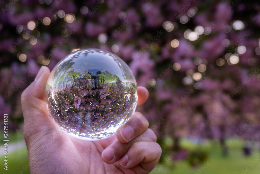 A hand holding a crystal ball for optical illusion. Known as an ...