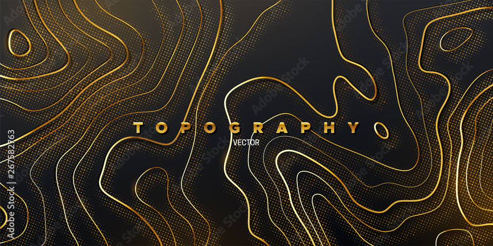 Topography relief. Abstract background. Vector illustration of curvy ...