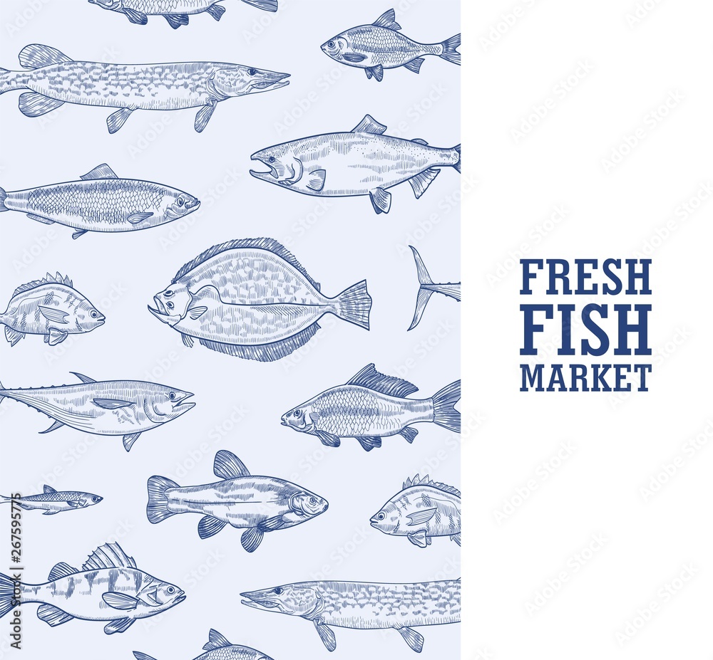 Square monochrome banner template with fish living in sea, ocean or ...