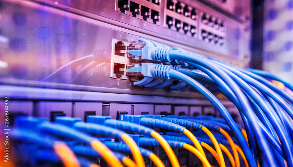 Server rack with blue and red internet patch cord cables connected to ...