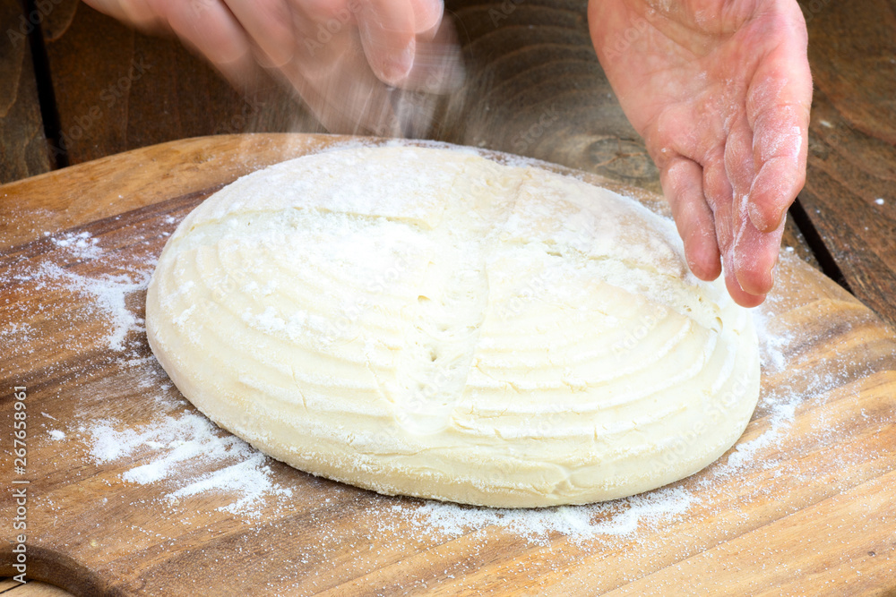 Making bread: flouring a formed loaf that is sitting on a pizza peel ...