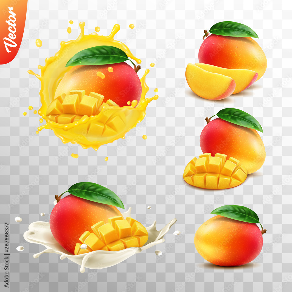 3d realistic transparent isolated vector set, whole and slice of mango ...