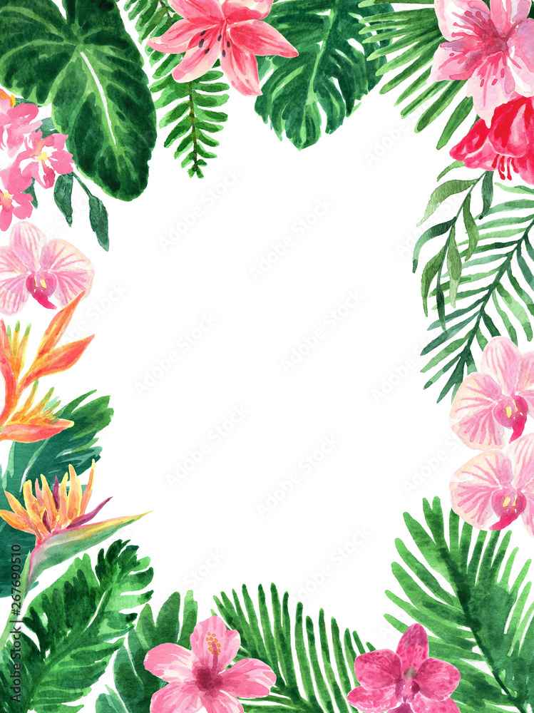Tropical Border