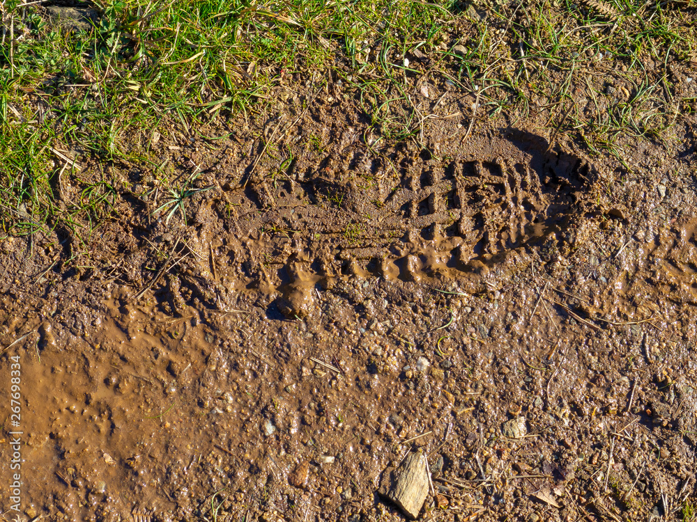 Footprint in the mud - grass and mud texture Stock Photo | Adobe Stock