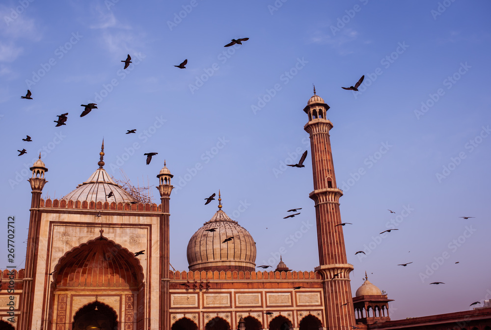A famous huge mosque for prayers. Know for constant presence of pigeon ...
