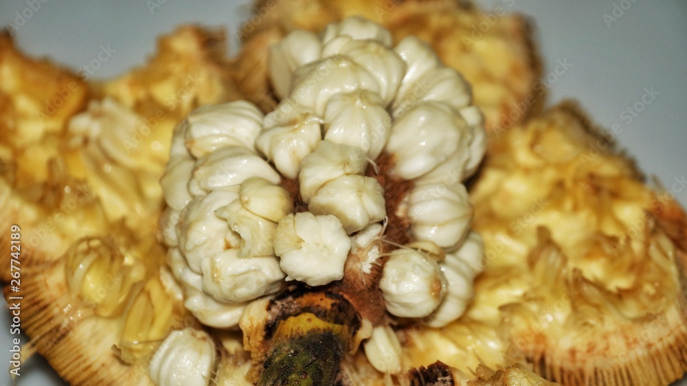 Fotka „Tarap or Terap (Species: Artocarpus odoratissimus) is a fruit ...