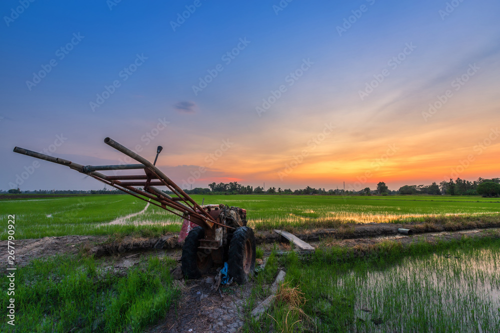 walking tractor on rice field for work plow till the soil before rice ...
