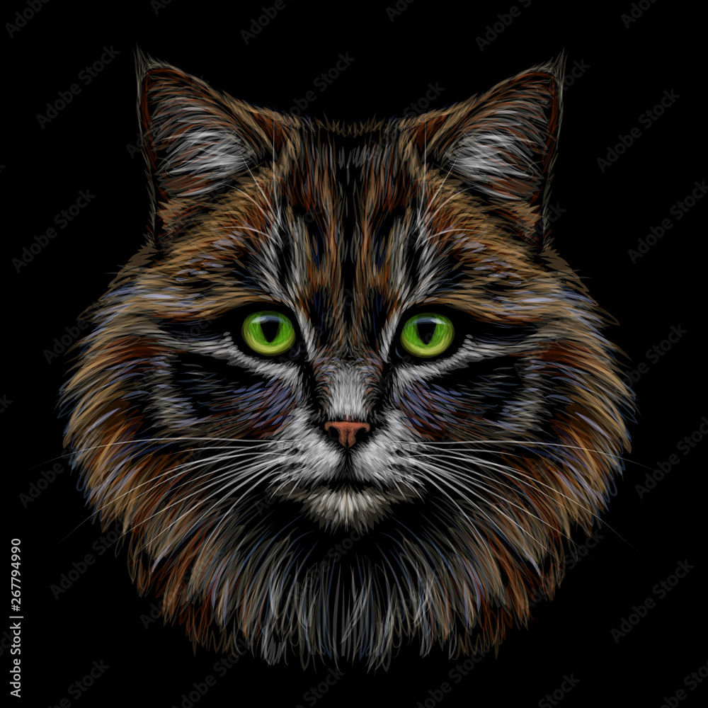 Realistic, colorful, hand-drawn, portrait of a cat looking forward on a ...