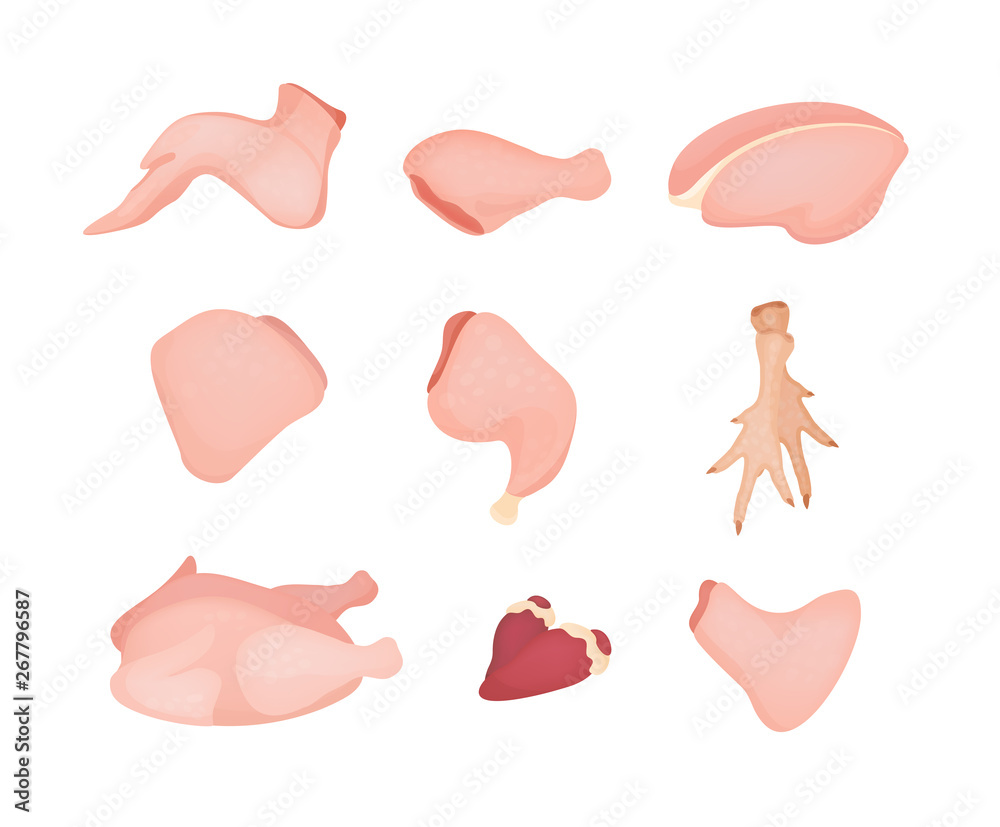 Vector illustration set of colored chicken meat. Different parts of ...