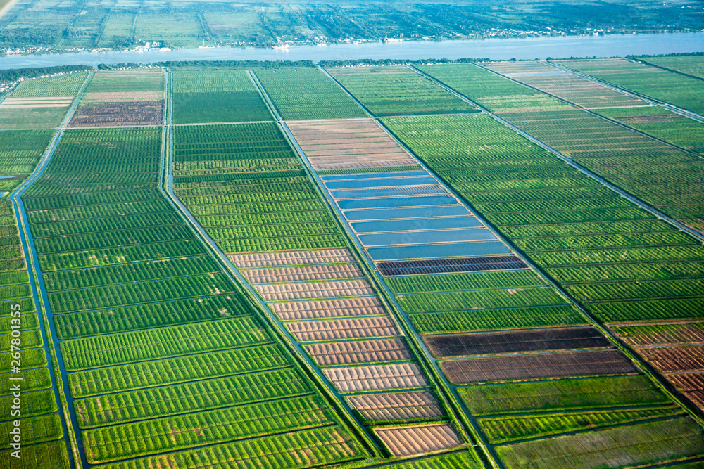 Bird's-eye view of the fields with water channels, taken from the plane ...