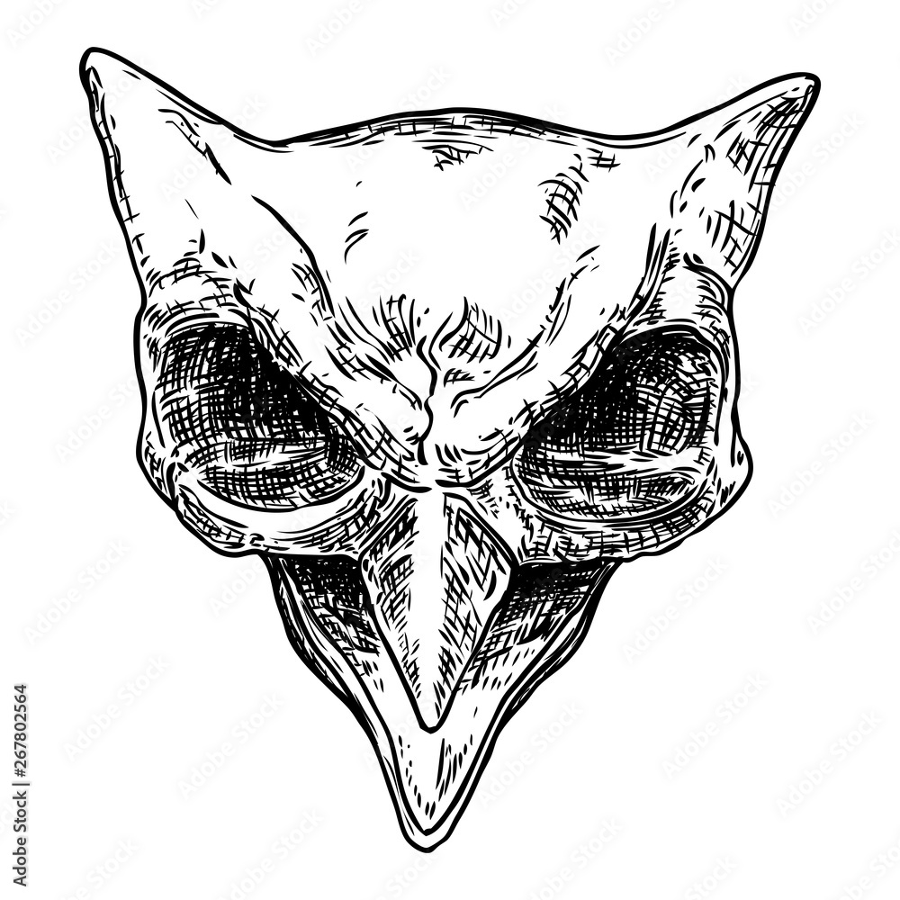 Owl Skull