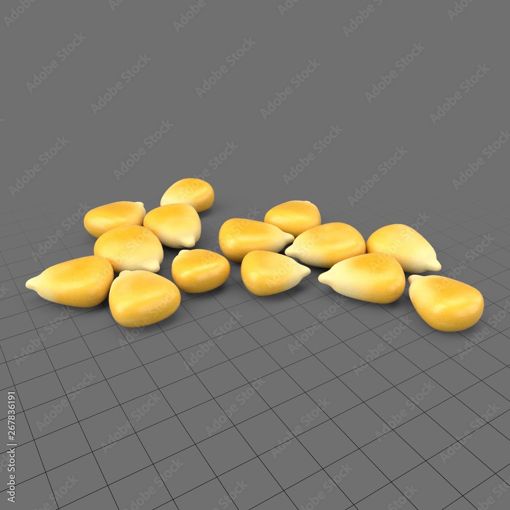 Corn kernels Stock 3D asset | Adobe Stock