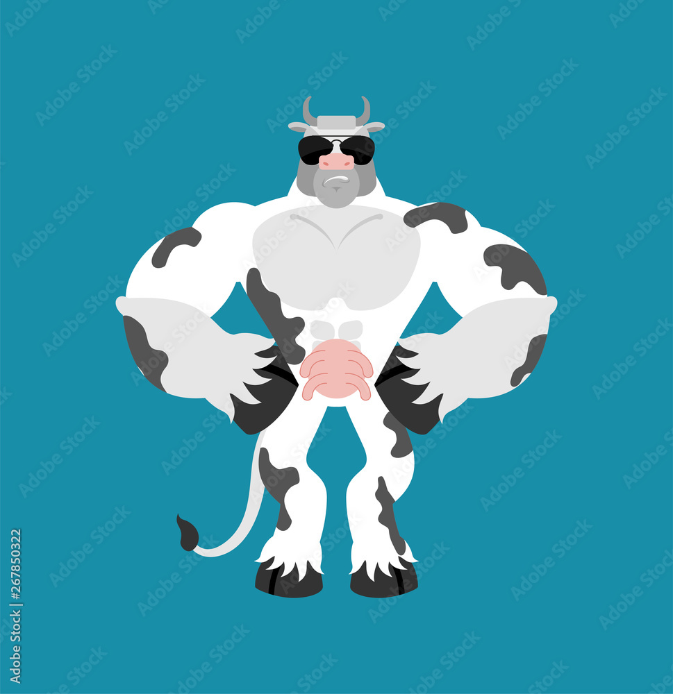 Cow Strong Cool serious. Farm animal strict. Vector illustration Stock ...