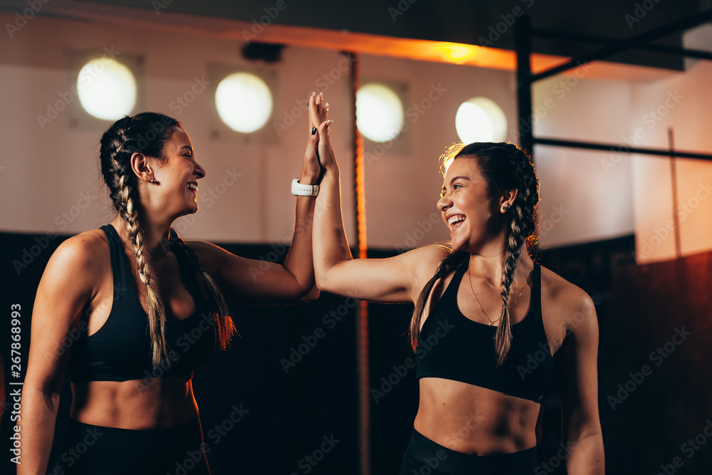 Smiling women doing high five in gym. Young female making high five ...