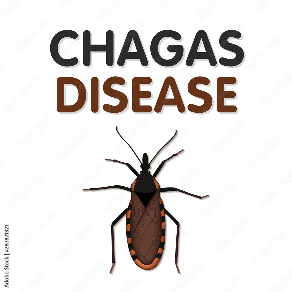 Chagas Disease, caused by parasite Trypanosoma cruzi carried by Kissing ...