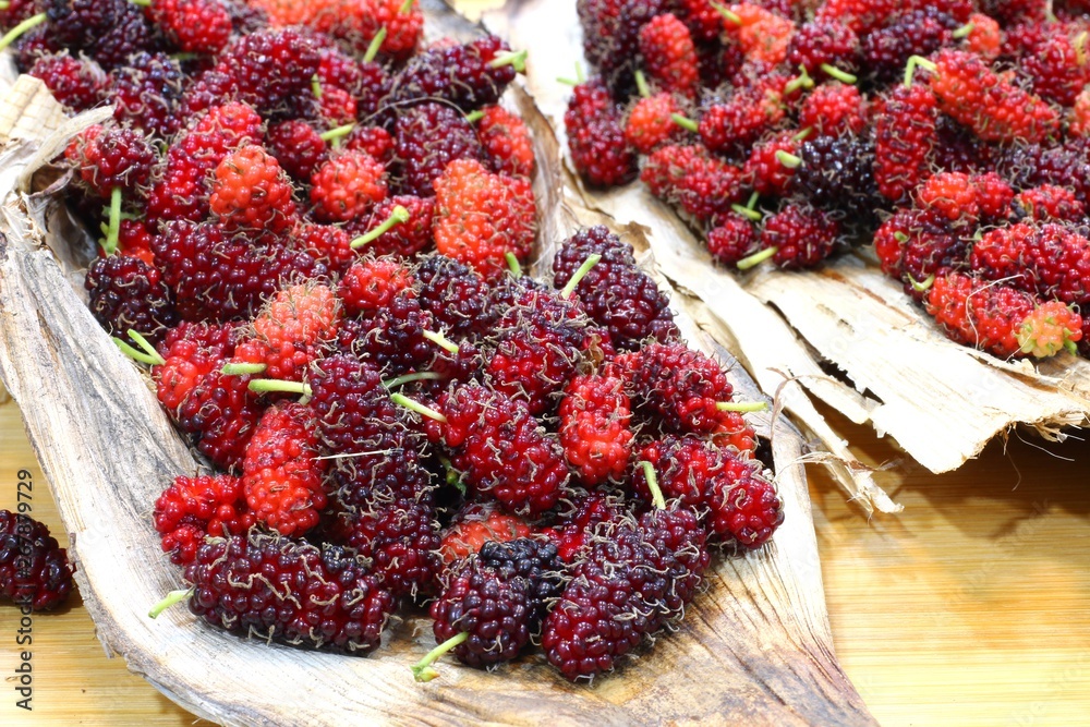 Red sweet mulberry fruits ( Morus rubra ) with selective focus Stock ...