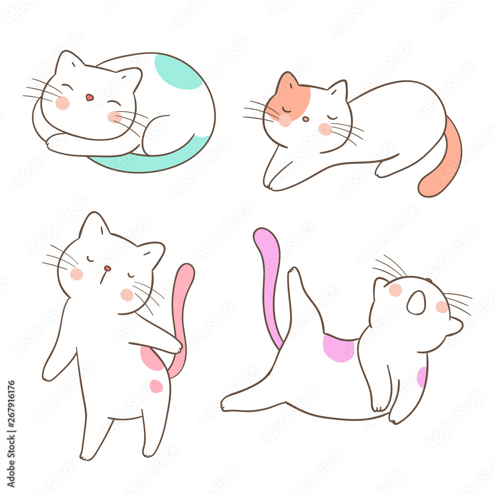 Cute Cat Poses