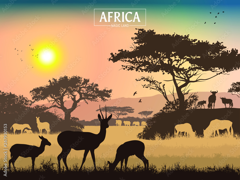 African landscape. Grass, trees, birds, animals silhouettes. Abstract ...