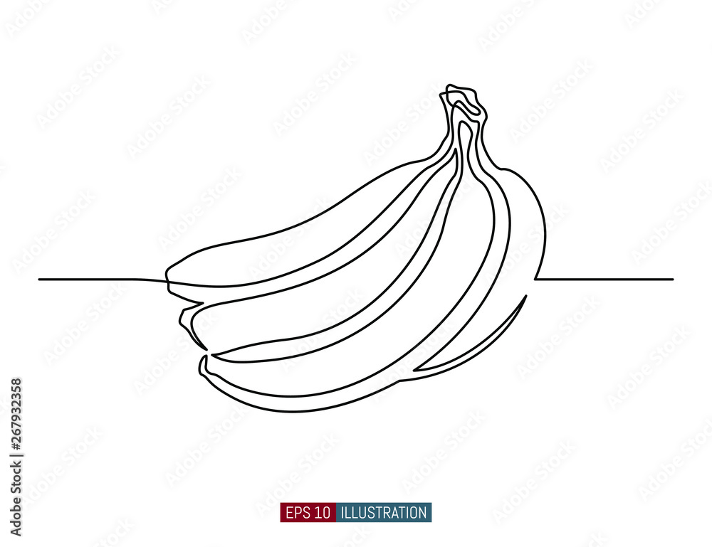 Continuous line drawing of banana. Template for your design. Vector ...