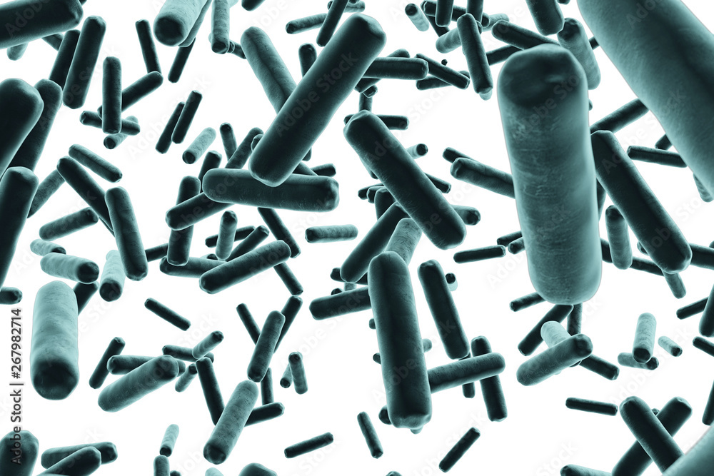 Rod shaped bacteria on white background. 3D illustration Stock ...