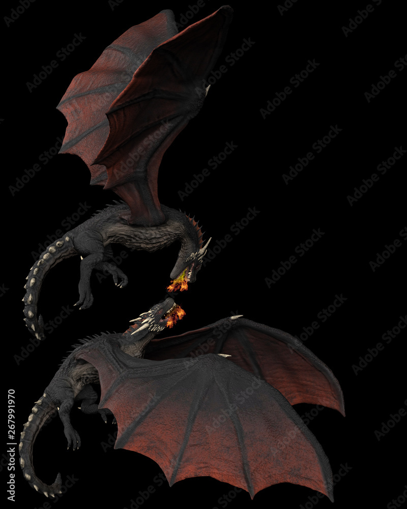 Dragons attacking each other black background isolated 3d illustration ...