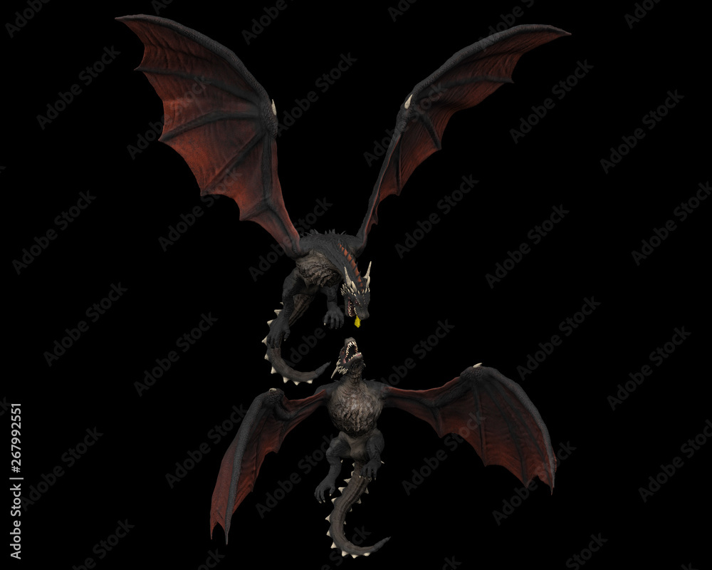 Dragons flying and fighting each other black background isolated 3d ...