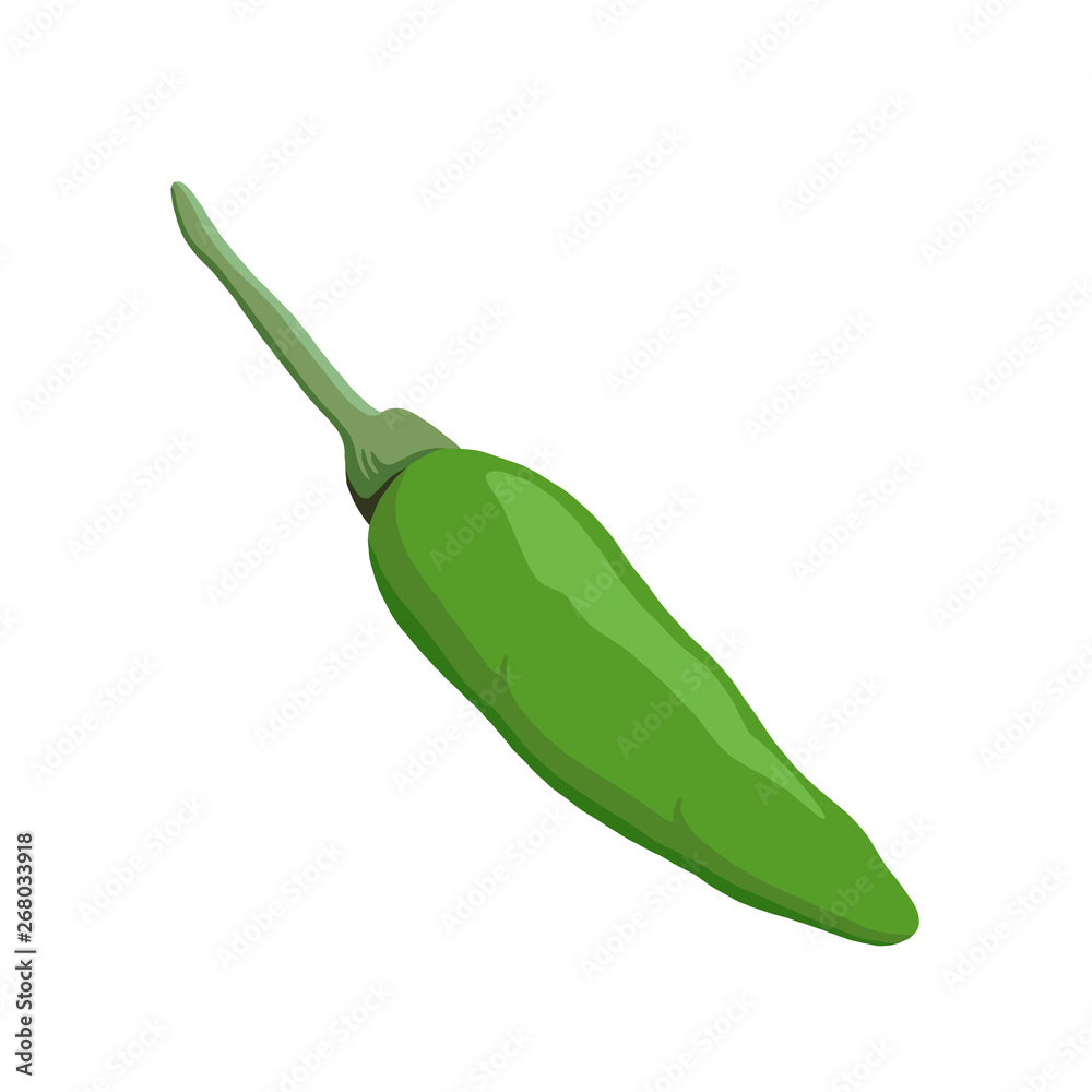 Green pepper vector illustration. Cute Green pepper Stock Vector ...