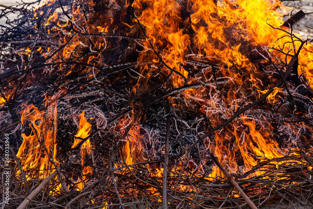 Flaming fire. Burning tree branches. Pagan rite dedicated to the ...
