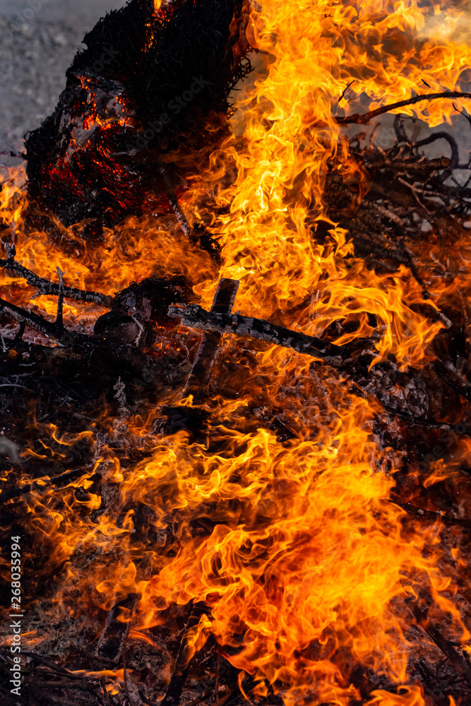 Flaming fire. Burning tree branches. Pagan rite dedicated to the ...