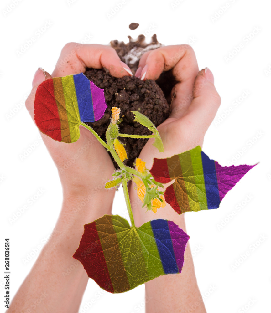 international day against homophobia, transphobia and biphobia ...