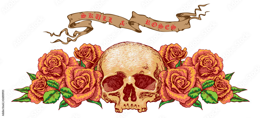 vector image of a skull with roses sketch for tattoo guns ribbons with ...