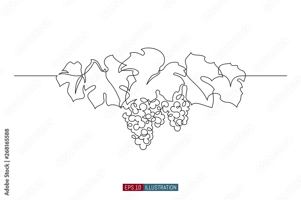 Continuous line drawing of grape wreath. Template for your design works ...