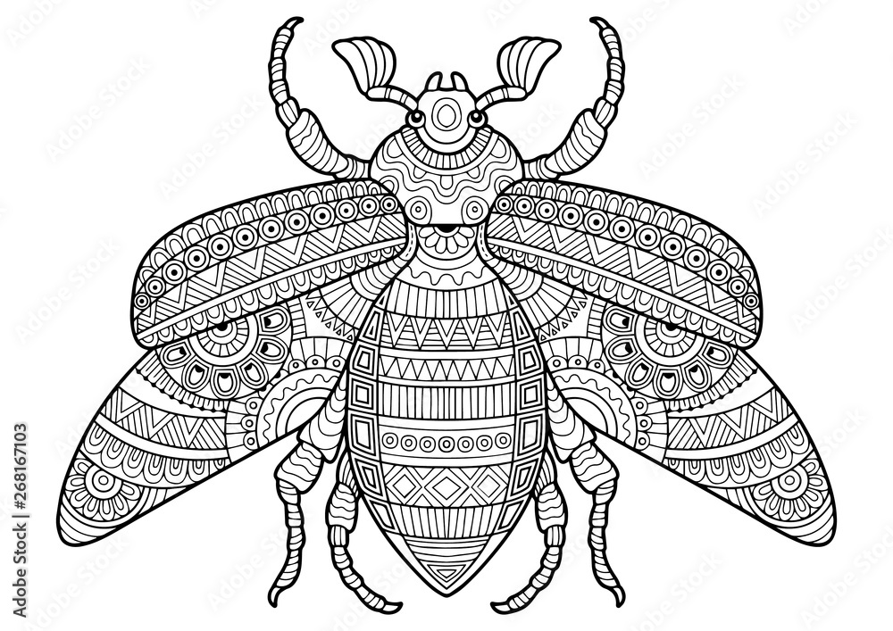 Vector black and white image of a bug on white background. Hand drawn ...