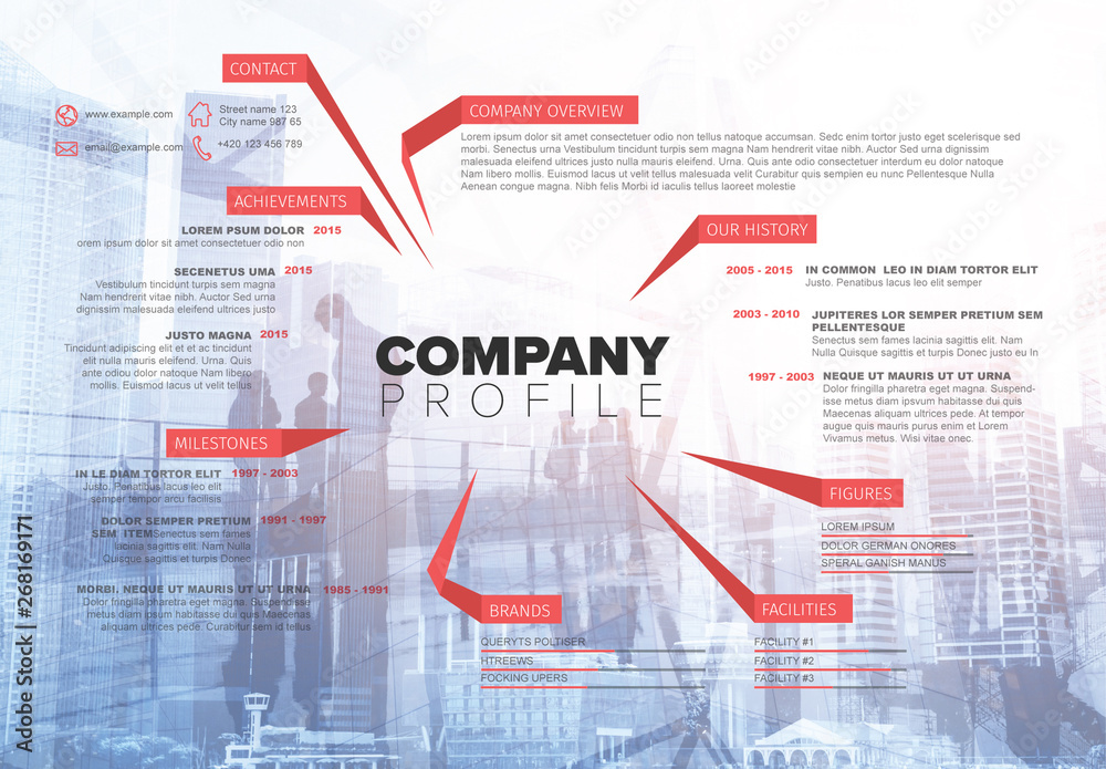 Company Overview Informative Layout Stock Template | Adobe Stock