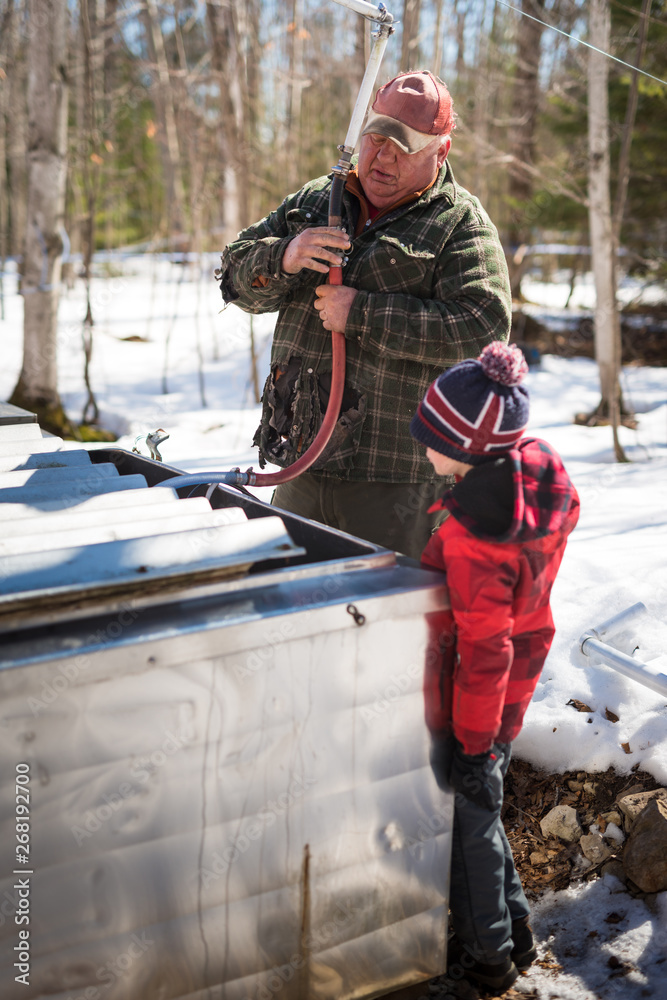 Old rugged maple syrup farmer shows young boy process of making syrup ...