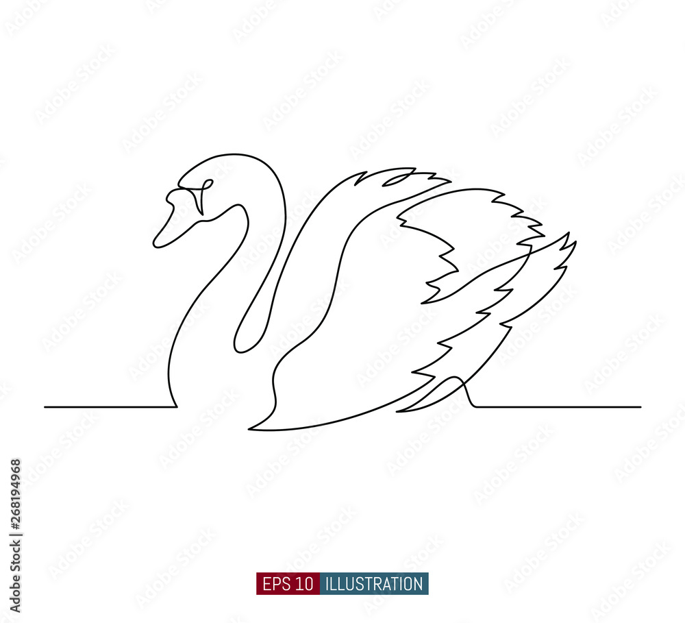 Continuous line drawing of swan. Template for your design works. Vector ...