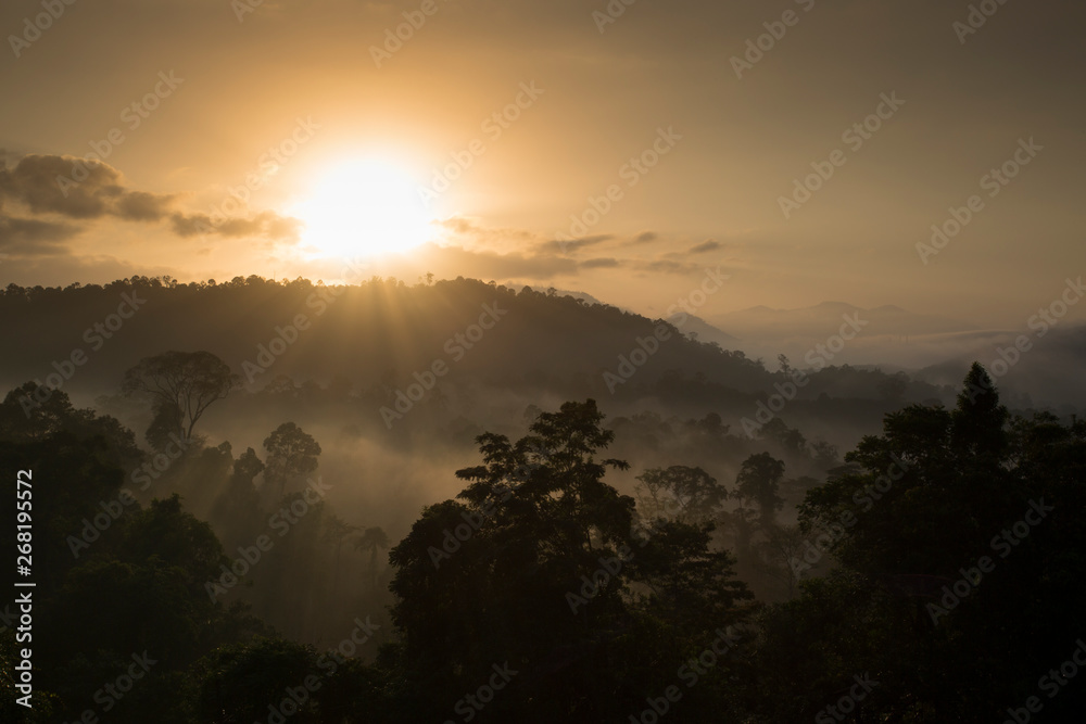 Foto de Beautiful sun rise over the mountain in the forest of Hala Bala ...