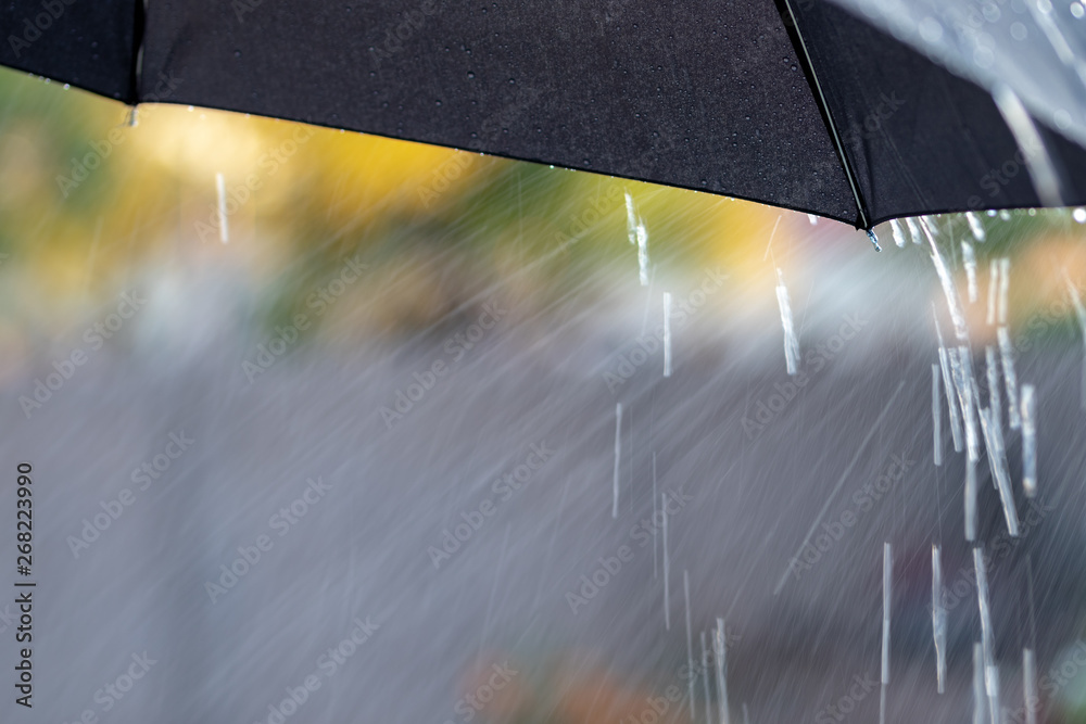 Rain Falling On Umbrella