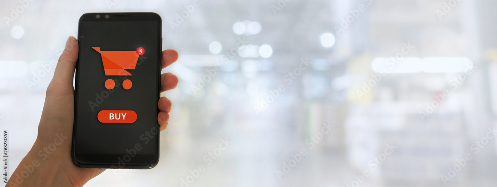 Hand holding mobile smart phone with my shopping carts screen on ...