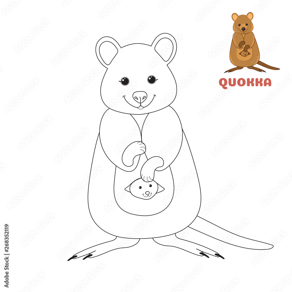 Coloring book page for preschool children with colorful australian ...