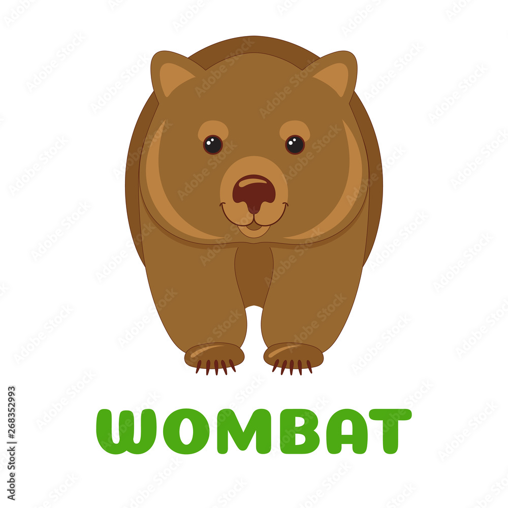 Wombat flashcard. Australian animal. Vector illustration for kids ...
