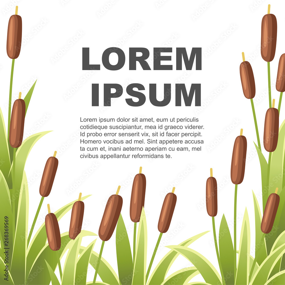 Reeds in green grass. Reed plant. Green swamp cane grass. Flat vector ...
