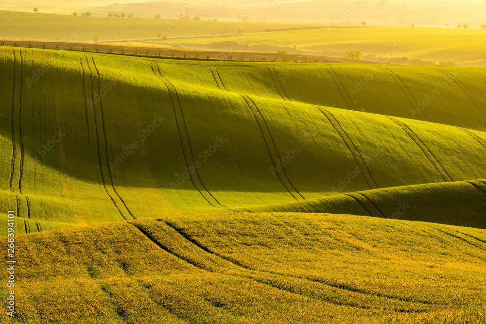 Arable fields prepared for sowing the grain. green background. Moravian ...