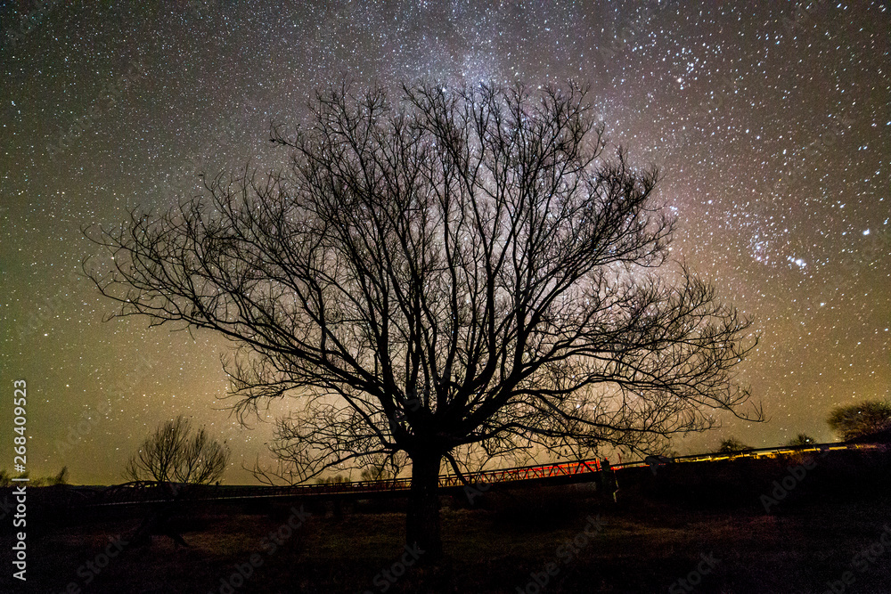 Rural landscape at night. Dark trees under black starry sky with Milky ...