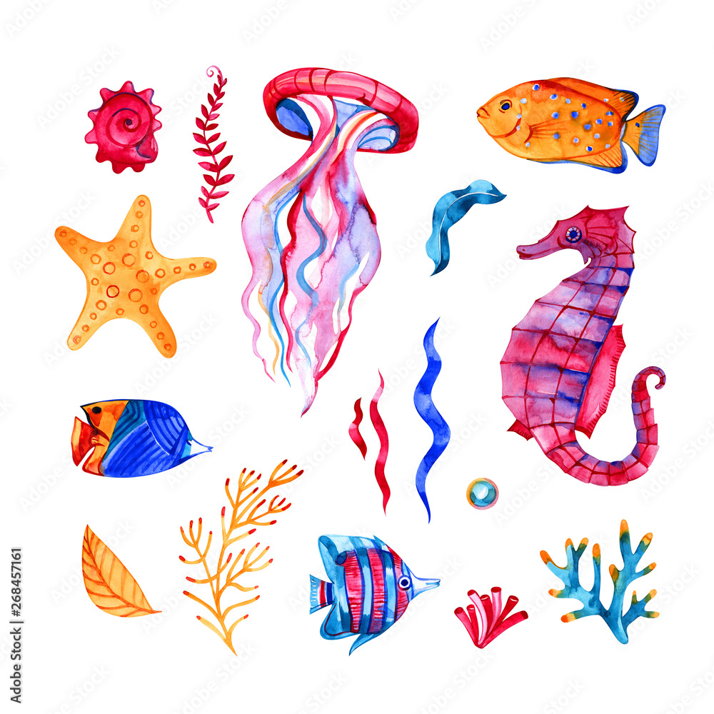 nautical elements, sea life, fish, seahorse, urchin, starfish ...