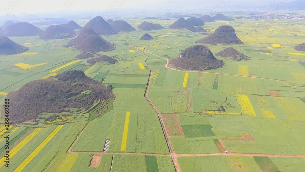 Rapeseed flowers of Luoping in Yunnan China. Luoping in Yunnan is ...